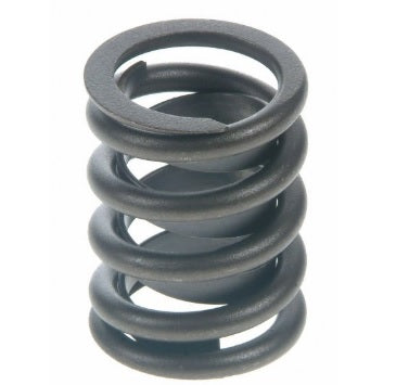 Dual Valve Spring E49/E55 Spec | Engine